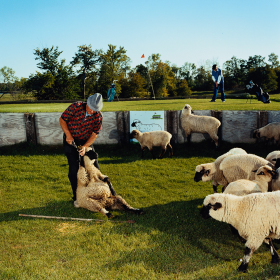 Jennifer Karady | Animal Project