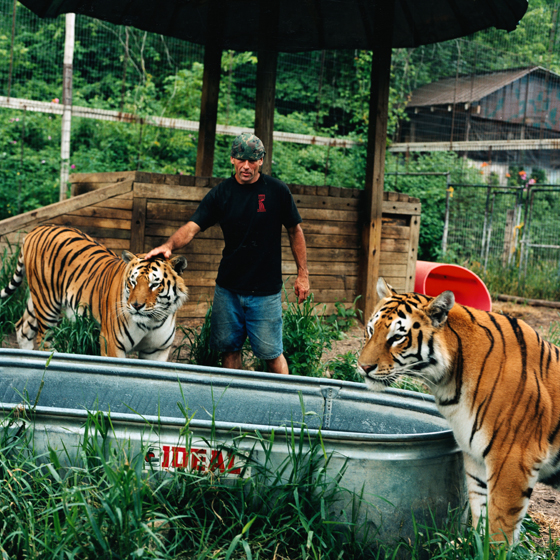 Jennifer Karady | Animal Project