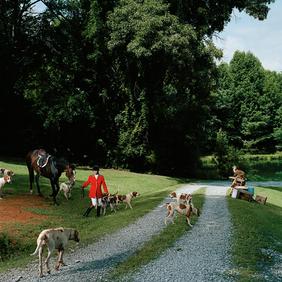 Jennifer Karady | Animal Project