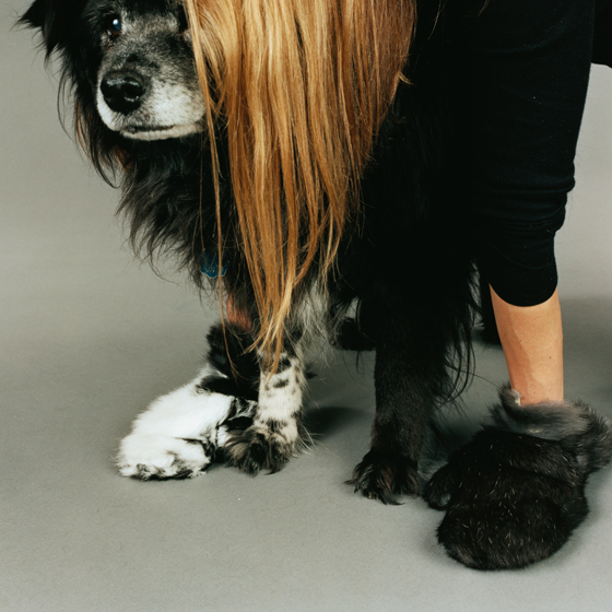 Jennifer Karady | Shnoo and I